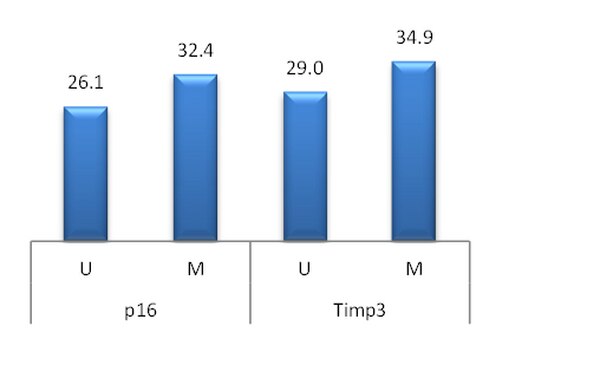 CpGenome™ Rat Methylated and Unmethylated Genomic DNA Standard Set | S7865